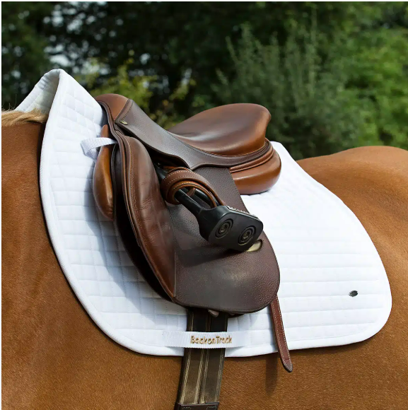 Saddle Pads & Risers – Horse & Rider